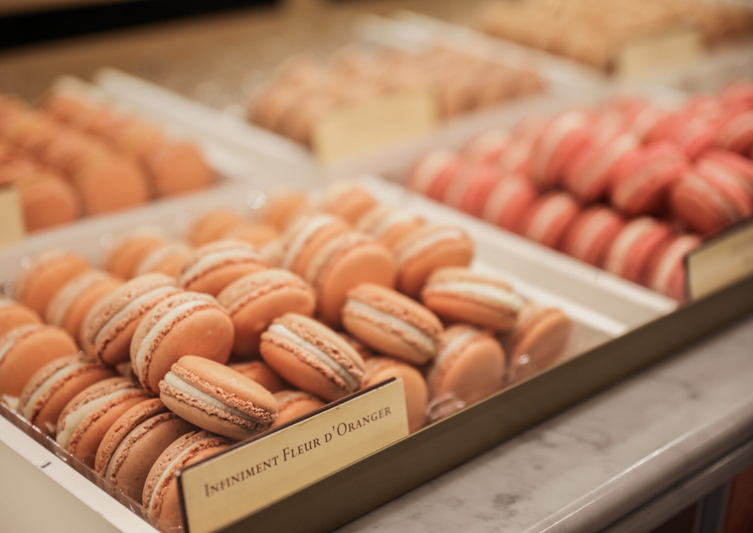 French Macarons & Chocolates by Pierre Hermé - Galeries Lafayette Paris ...